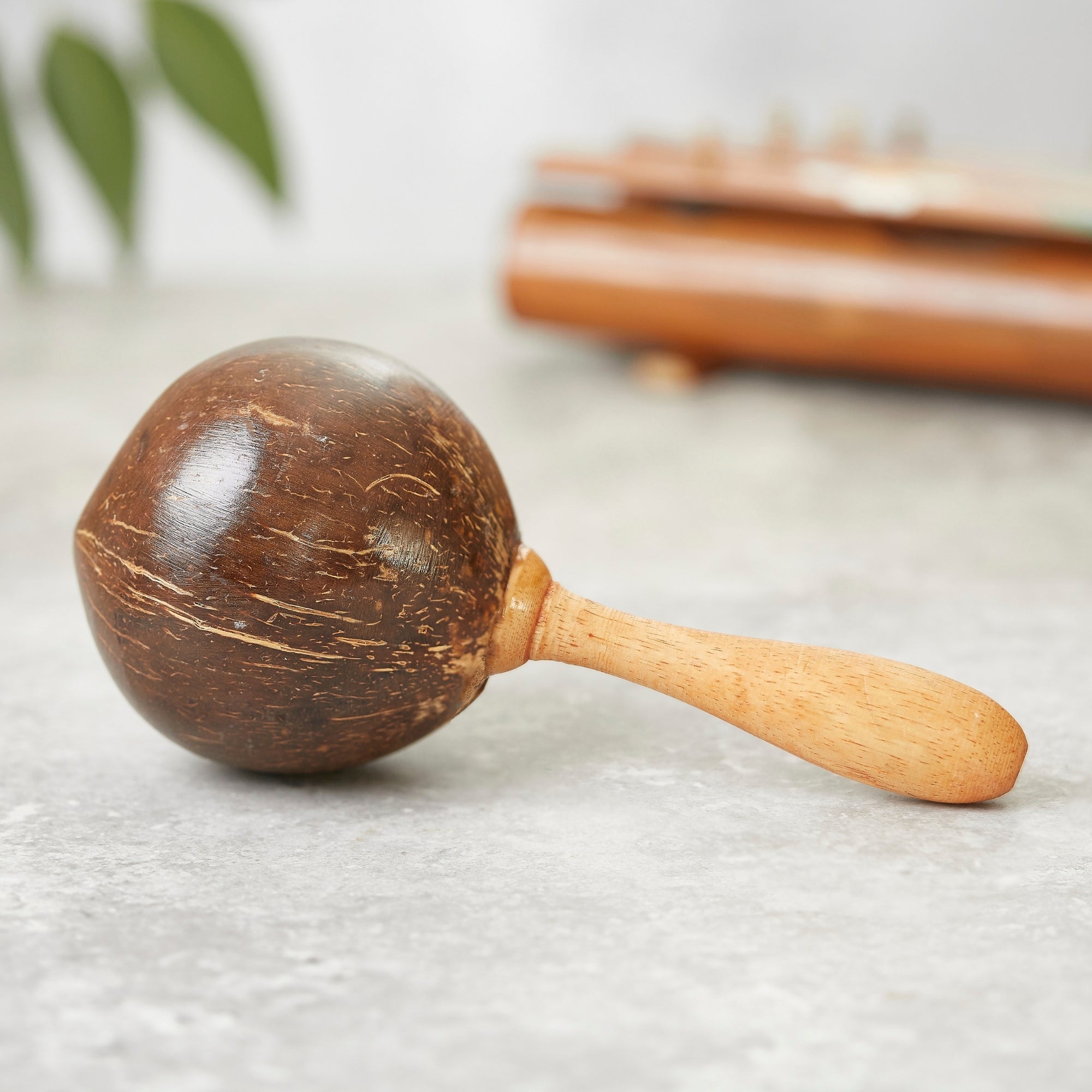 Buy Painted Coconut Shell Maraca Shaker Instrument